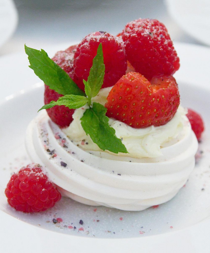Vanilla & Fresh Berries Scented Candle – Sierra Mountain Candle Co