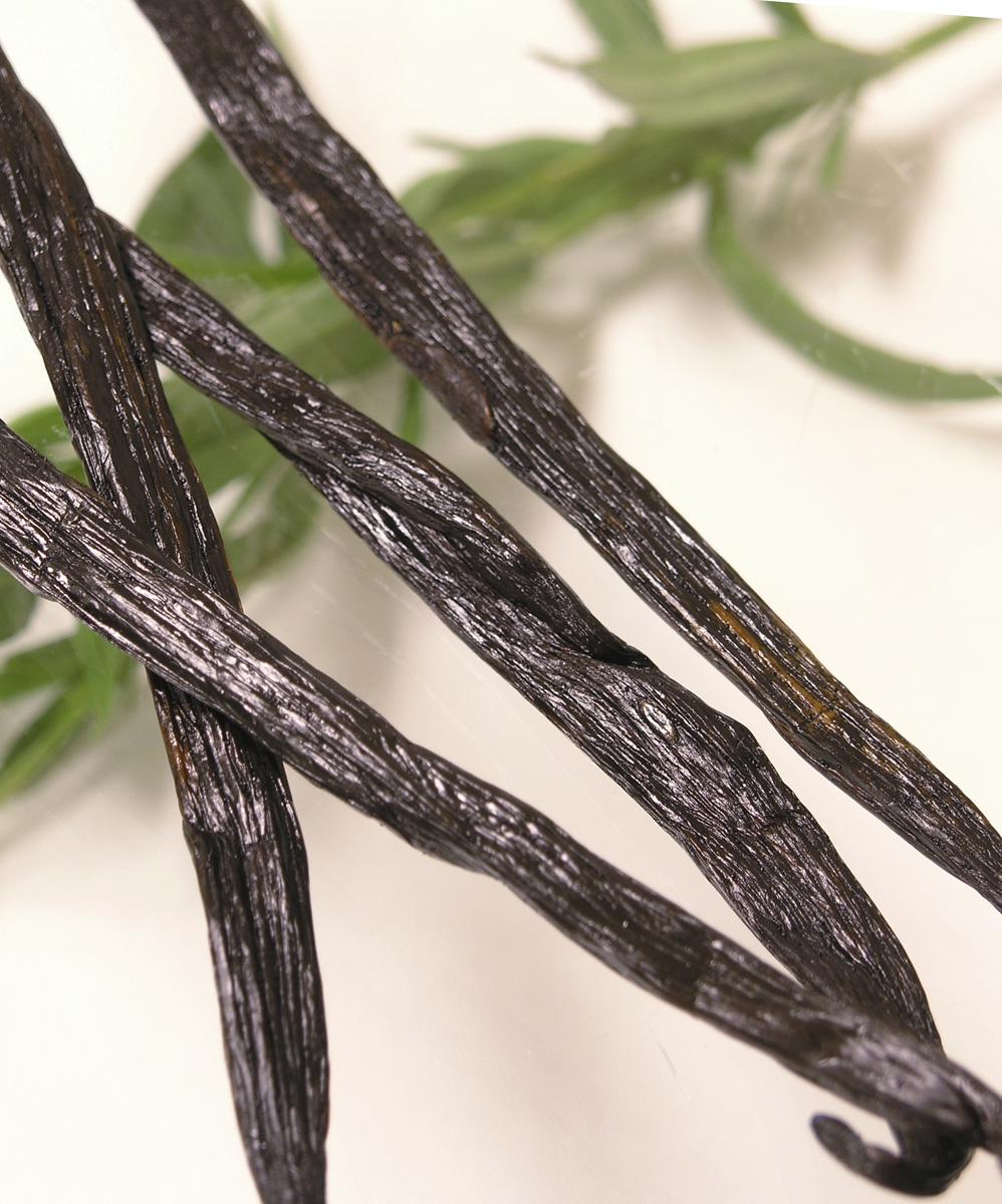 Sierra Mountain Candle Co – Premium Richly Scented Candles, Highly ...